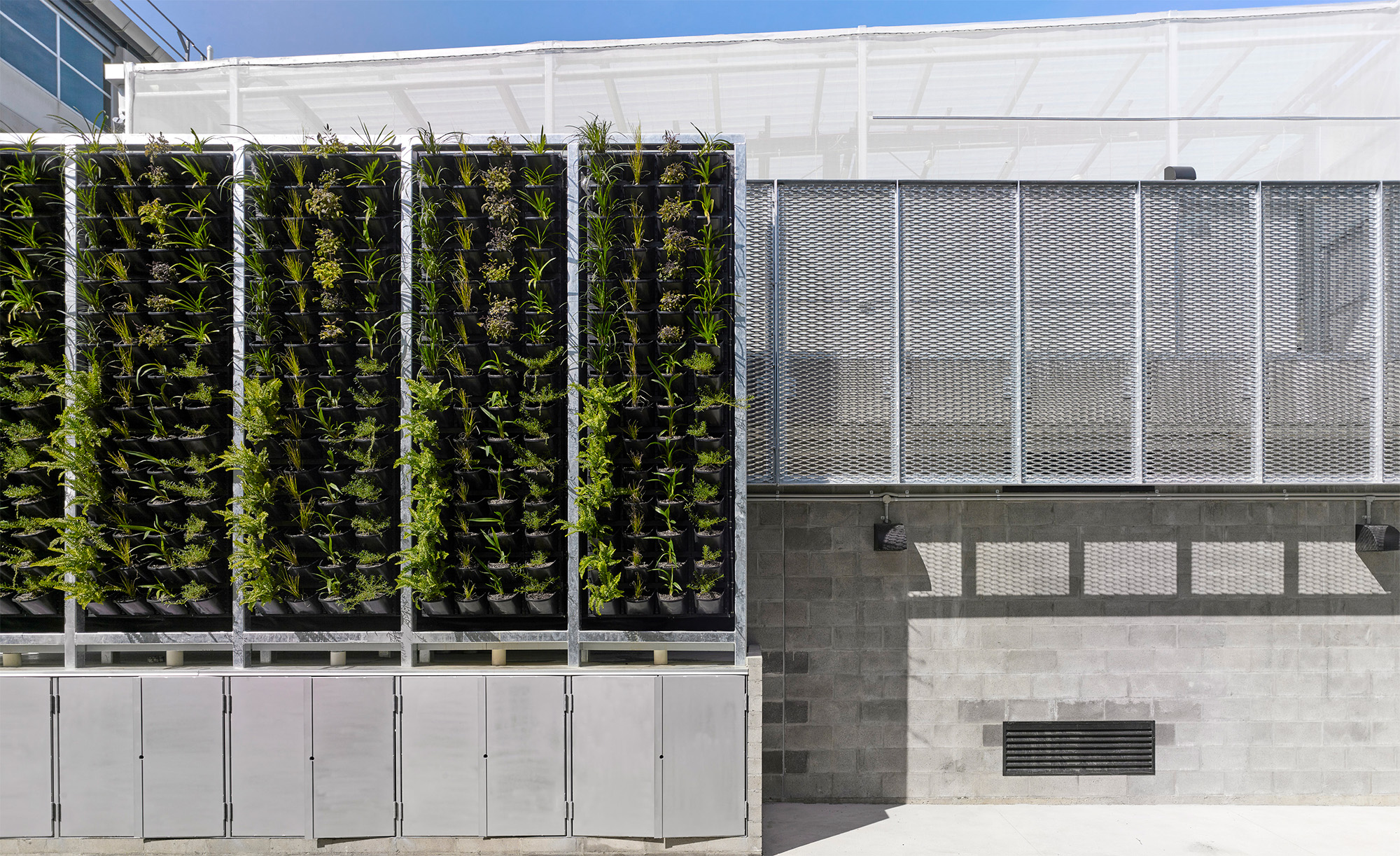 A New Living Laboratory at Monash University - Insights - DesignInc