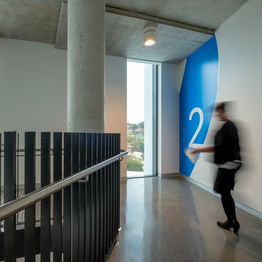 Shellharbour Council Workplace - Projects - DesignInc