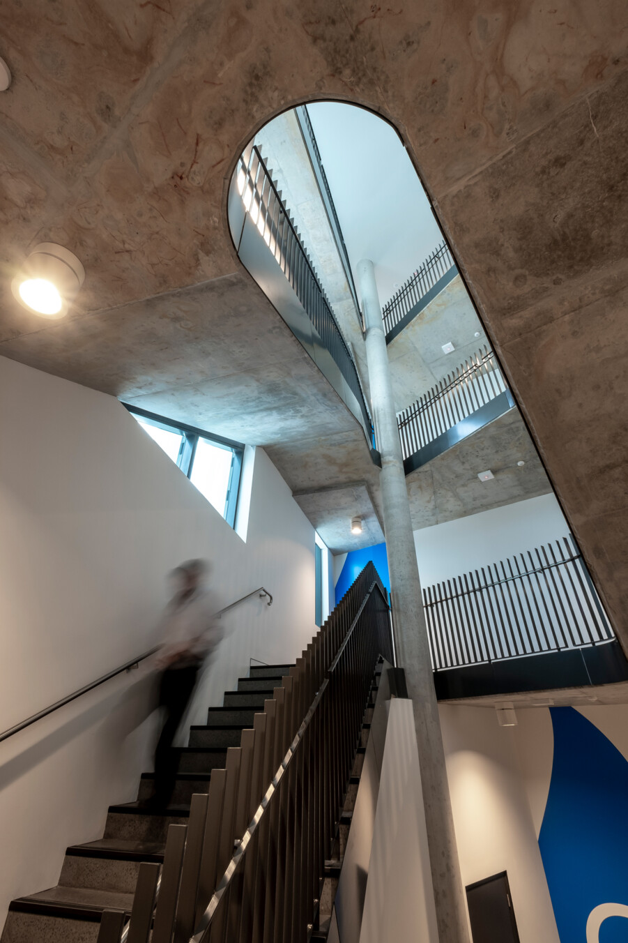 Shellharbour Council Workplace - Projects - DesignInc