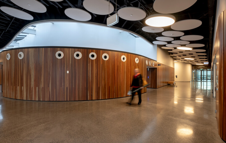 Shellharbour Council Workplace - Projects - DesignInc