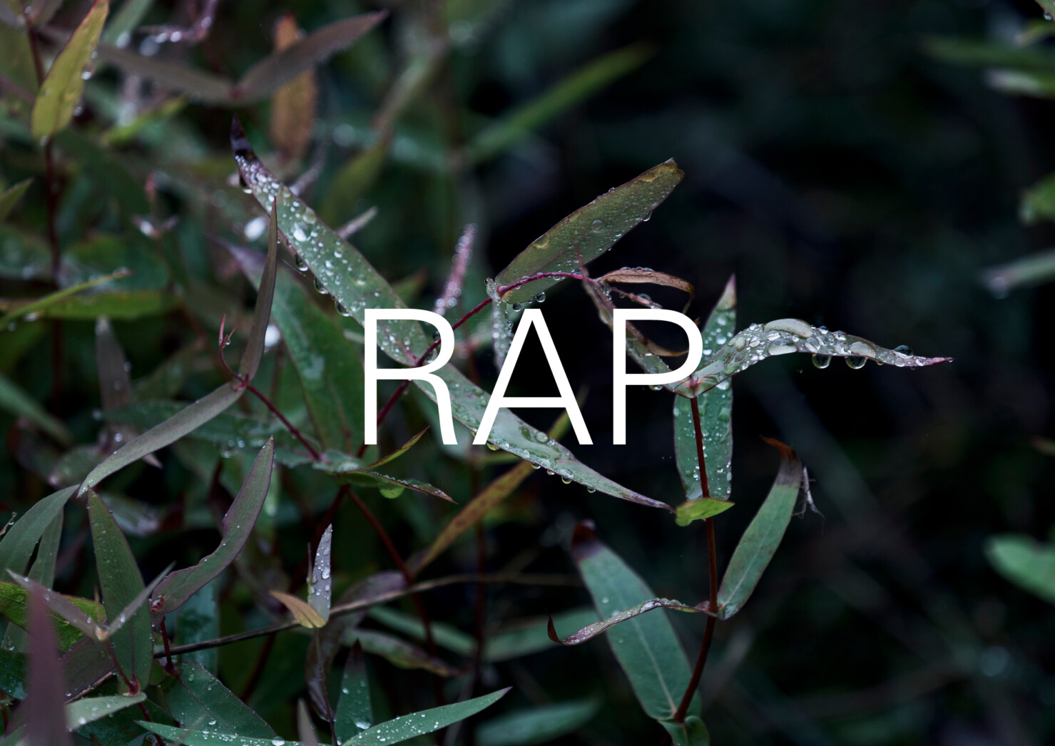 DesignInc Melbourne: On a Path to Reconciliation - Insights - DesignInc