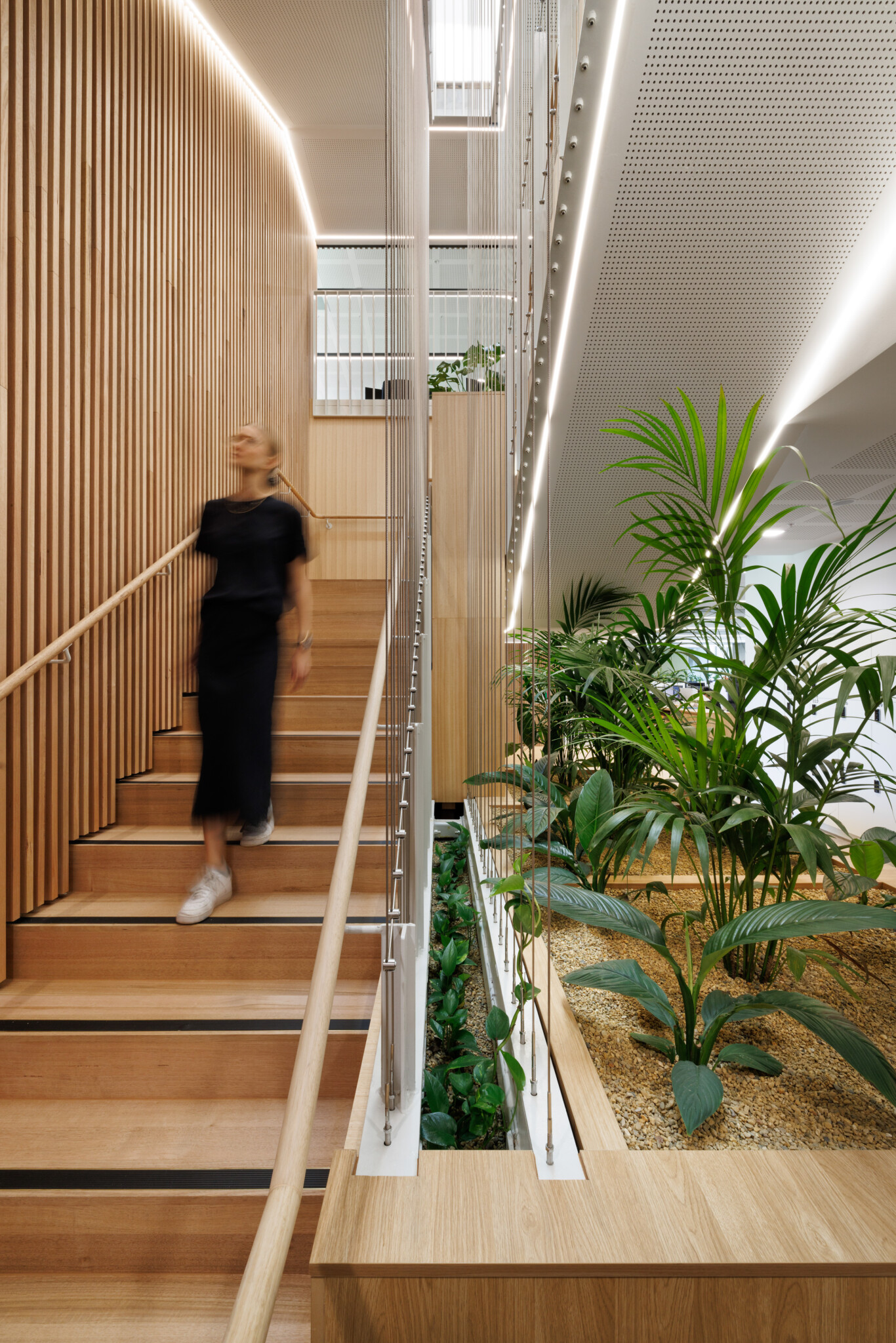 Maribyrnong Civic Precinct and Community Hub - Projects - DesignInc